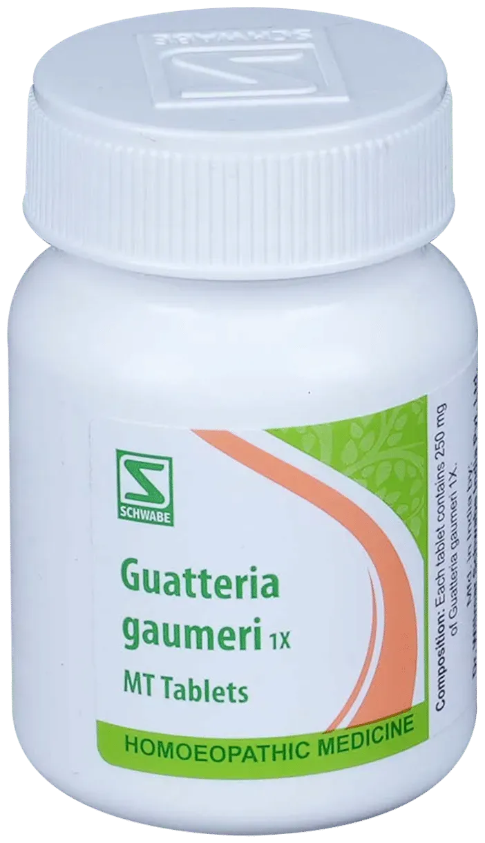 Dr. Willmar Schwabe India Guatteria Gaumeri MT Tablet 1X | The Desi Food