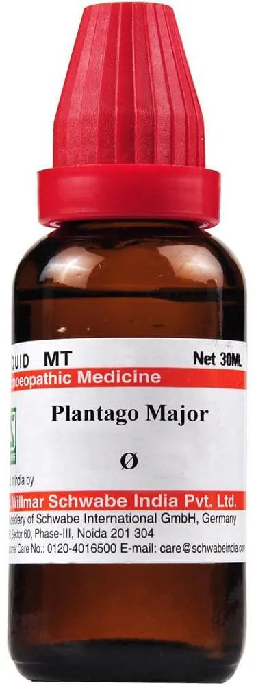 Dr. Willmar Schwabe India Plantago Major Mother Tincture Q