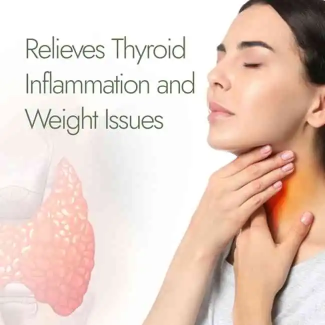 Kapiva Thyro Care Capsules | The Desi Food