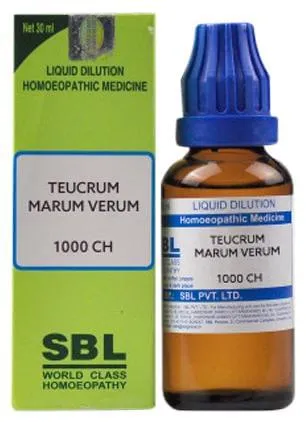 SBL Homeopathy Teucrium Marum Verum Dilution | The Desi Food