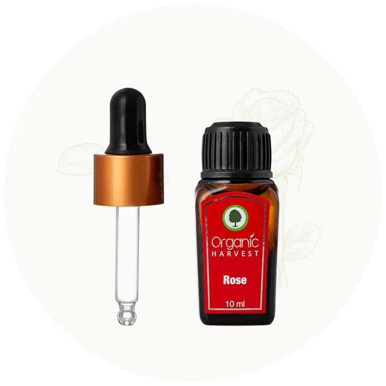Organic Harvest Rose Essential Oil